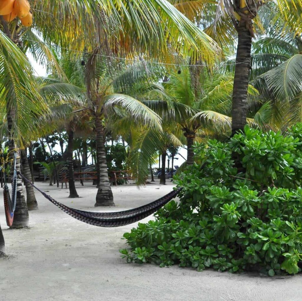 Little French Key Full Island Package