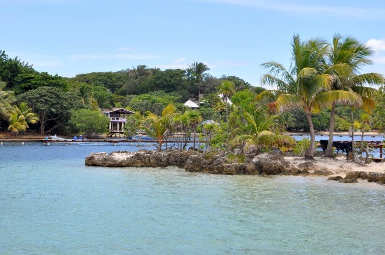 Roatan Dolphin Encounter - Discover Roatan Excursions & Tours