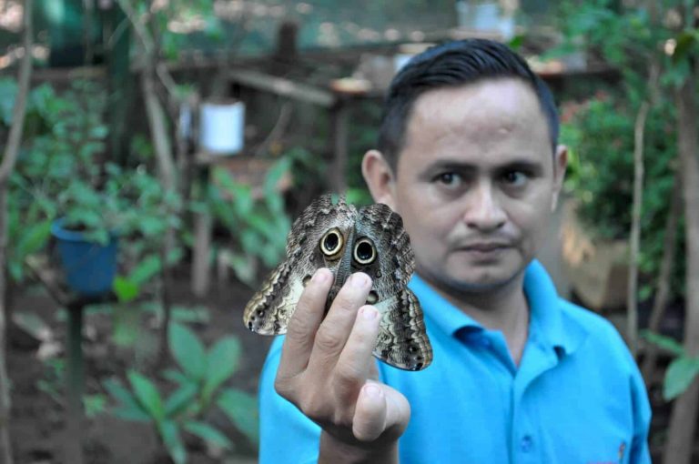 Top 5 Roatan Animal Parks