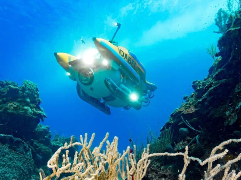 Submarine Ride - 2,000 ft - Discover Roatan Excursions & Tours