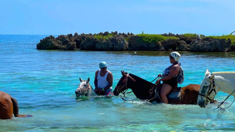 Mahogany Bay Horseback Ride | Roatan Shore Excursions