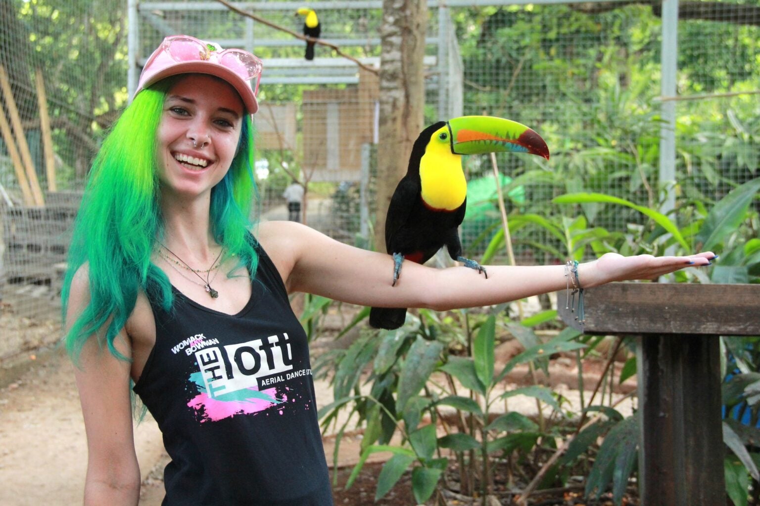 Accessible Roatan - Monkeys, Sloths, & Macaws
