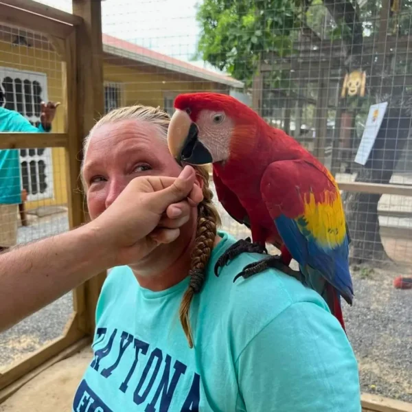 Accessible Roatan - Monkeys, Sloths, & Macaws